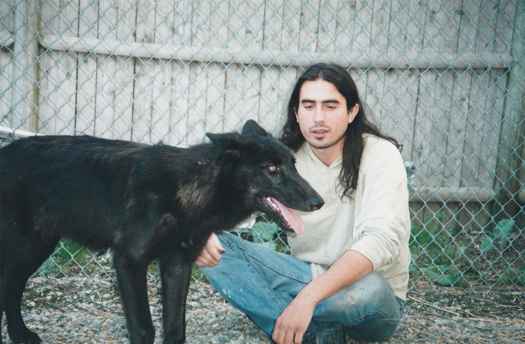 Wolves of Algonquin Park – Forest Wolf Programs